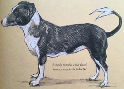 Crup | Harry Potter Wiki | Fandom