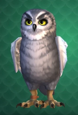 Igor (owl) | Harry Potter Wiki | Fandom