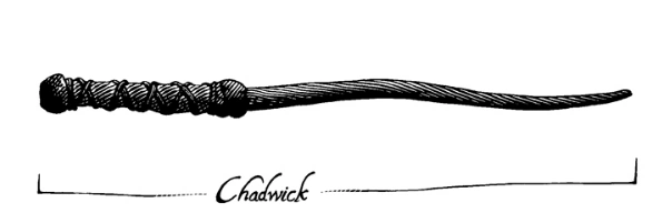 Różdżka Chadwicka Boota | Harry Potter Wiki | Fandom