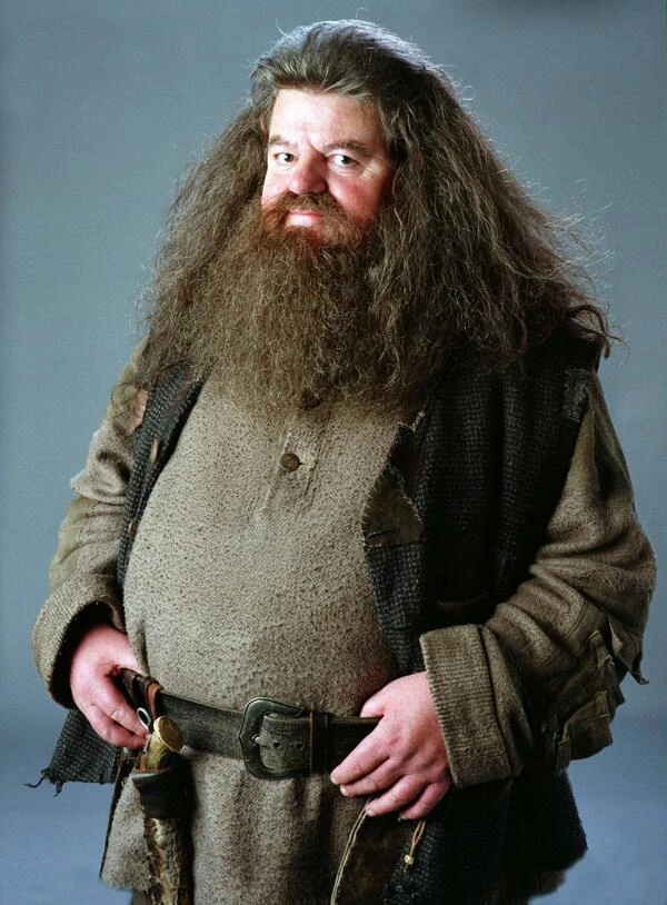 Rubeus Hagrid | HarryPotter-wiki | Fandom