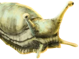 Category:Uncertain classification | Harry Potter Wiki | Fandom