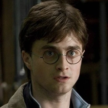 Harry Potter | Harry Potter-wikin | Fandom