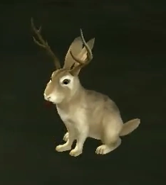 Jackalope | Wiki Harry Potter | Fandom