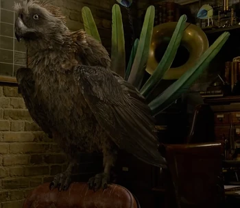 Patrick | Wiki Harry Potter | Fandom