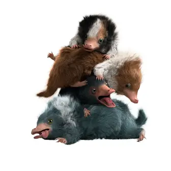 Niffler | Harry-Potter-Lexikon | Fandom