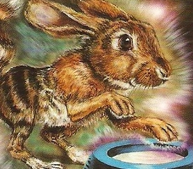 Lapifors | Harry Potter Wiki | Fandom