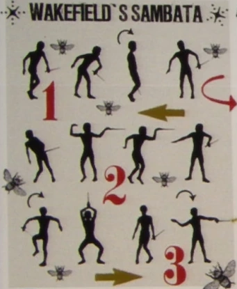 Wakefield's Sambata | Wiki Harry Potter | Fandom