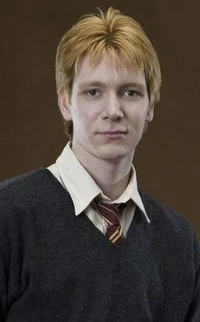 George Weasley | Harry Potter Wiki | Fandom