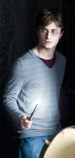Harry Potter | Harry Potter Wiki | Fandom
