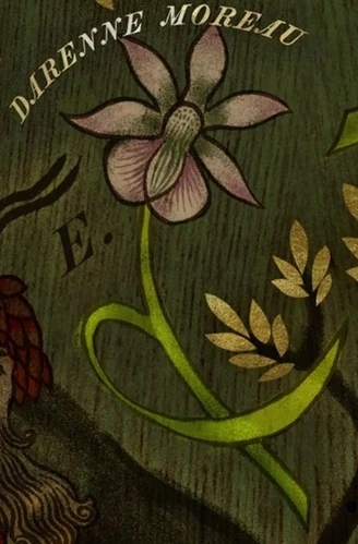 Darenne Lestrange | Harry Potter Wiki | Fandom