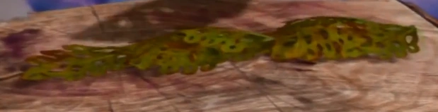 Alihotsy | Wiki Harry Potter | Fandom