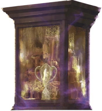 Trophy Case | Harry Potter Wiki | Fandom