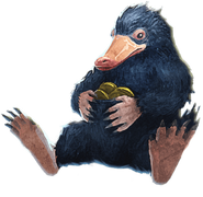 Niuchacz | Harry Potter Wiki | Fandom