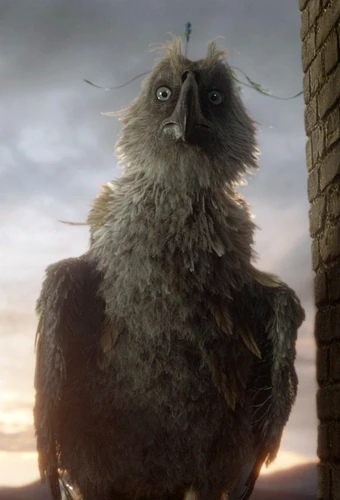 Augurey | Harry Potter Wiki | Fandom