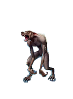 Werewolf | Harry Potter Wiki | Fandom