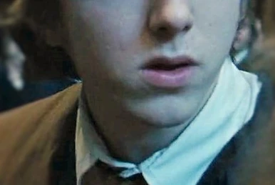 Terry Boot Harry Potter