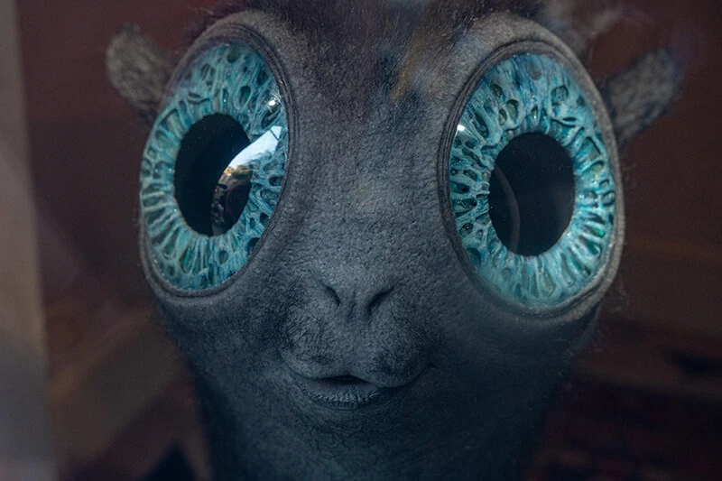 Mooncalf in Oculus Regulus Opticiens | Harry Potter Wiki | Fandom