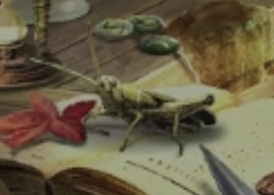 Grasshopper | Harry Potter Wiki | Fandom