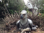 Flight of the Hippogriff | Harry Potter Wiki | Fandom