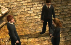 Terry Boot | Harry Potter Wiki | Fandom