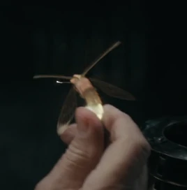 Magical firefly | Harry Potter Wiki | Fandom