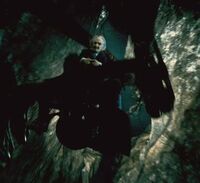 Bogrod | Harry Potter Wiki | Fandom