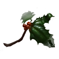 Holly | Harry Potter Wiki | Fandom