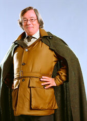 Cedrico Diggory | Harry Potter Wiki | Fandom
