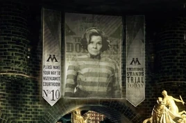 Trial of Dolores Umbridge | Harry Potter Wiki | Fandom