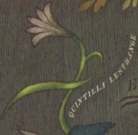 Quintilla Lestrange | Harry Potter Wiki | Fandom