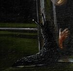 Slug | Harry Potter Wiki | Fandom