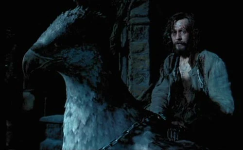 User blog:Cherrycodie/sirus | Harry Potter Wiki | Fandom