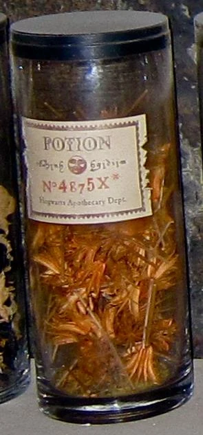 Potion Nº 4875X* | Harry Potter Wiki | Fandom