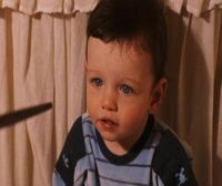 Harry Potter | Harry Potter Wiki | Fandom