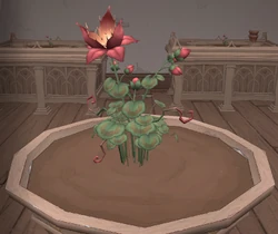 Зубастая герань | Гарри Поттер вики | Fandom