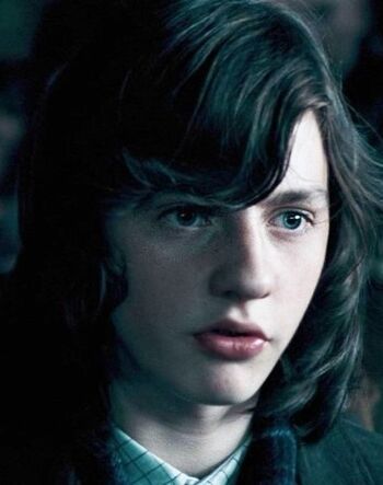 Michael Corner | Harry Potter Wiki | Fandom