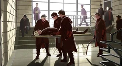 St. Mungos hospital for magiske sykdommer og skader | Harry Potter | Fandom