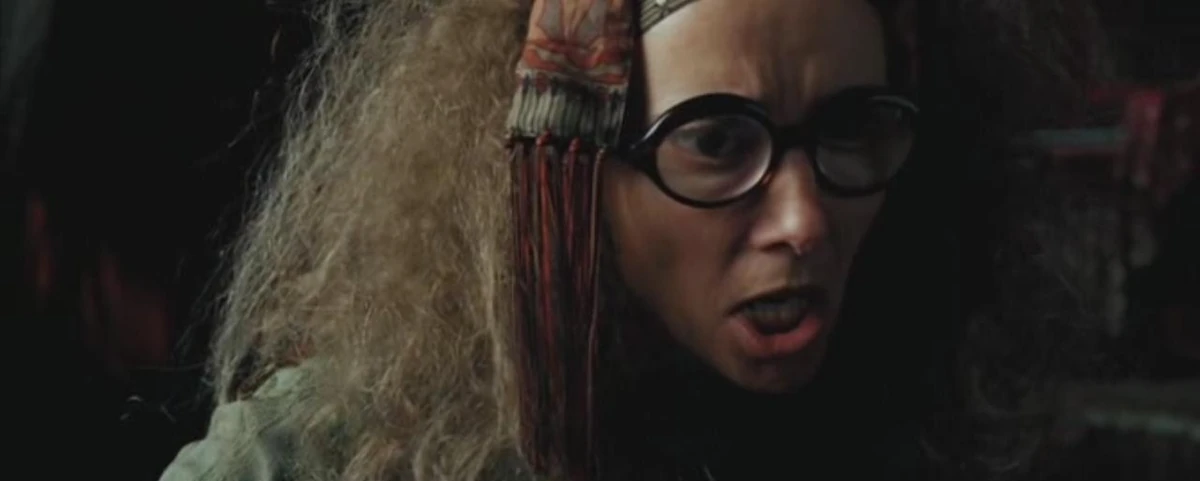 Sybill Trelawney's prophecy (1994) | Harry Potter Wiki | Fandom