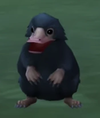 Sebastian (Niffler) | Harry Potter Wiki | Fandom