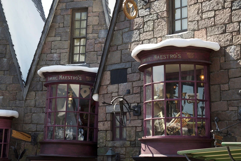 Dominic Maestro's Music Shop | Harry Potter Wiki | Fandom