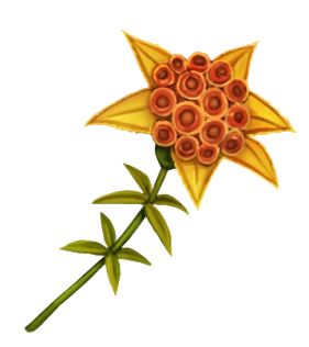 Mallowsweet Branch | Harry Potter Wiki | Fandom