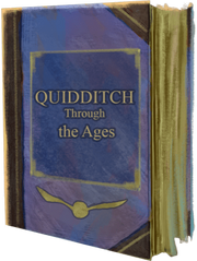 Quidditch Through the Ages | Harry Potter Wiki | Fandom