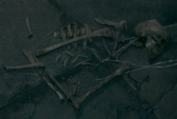 Noctua Gaunt | Harry Potter Wiki | Fandom