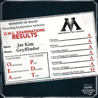 Hogwarts subjects | Harry Potter Wiki | Fandom