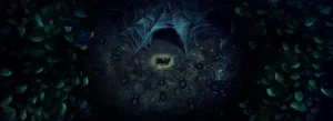 Aragog | Harry Potter Books Wiki | Fandom