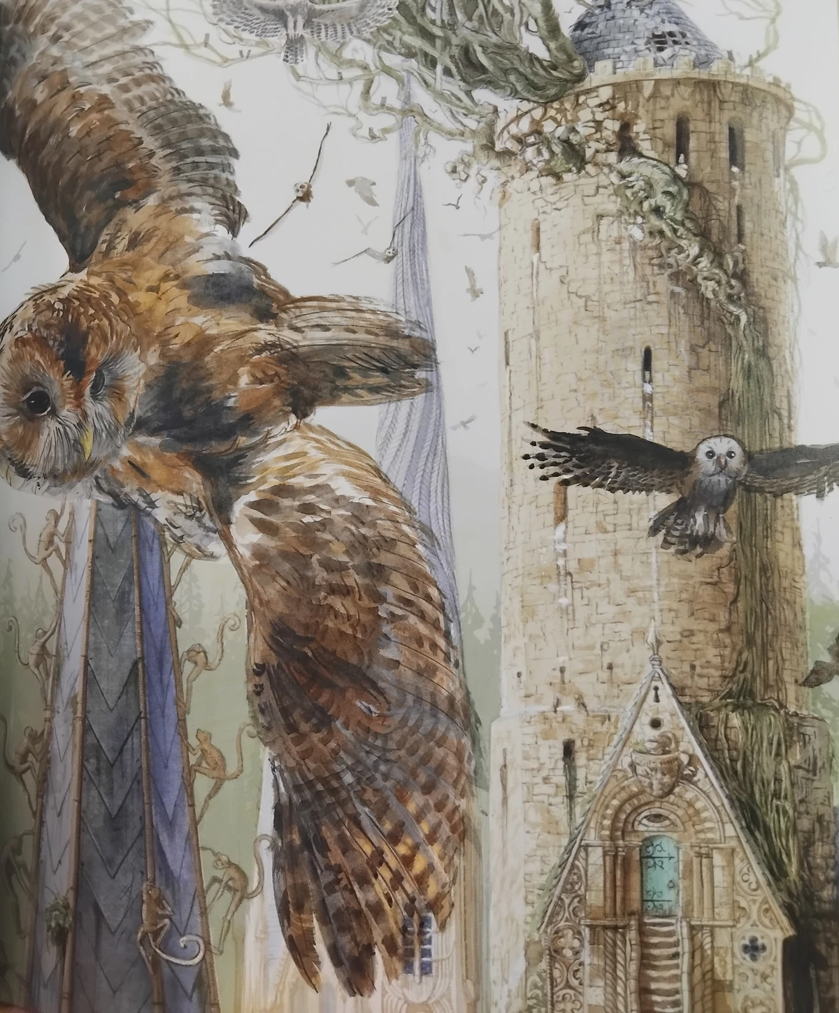 Owlery | Harry Potter Books Wiki | Fandom