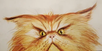 Crookshanks | Harry Potter Books Wiki | Fandom