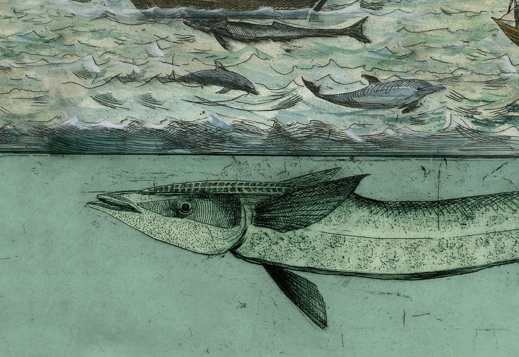 Ramora | Harry Potter Books Wiki | Fandom