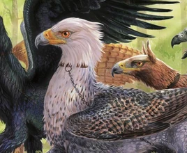 Buckbeak | Harry Potter Books Wiki | Fandom