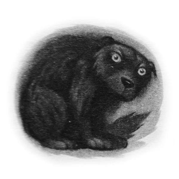 Grim Defeat | Harry Potter Books Wiki | Fandom